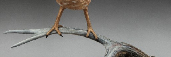 Diane Mason Artist